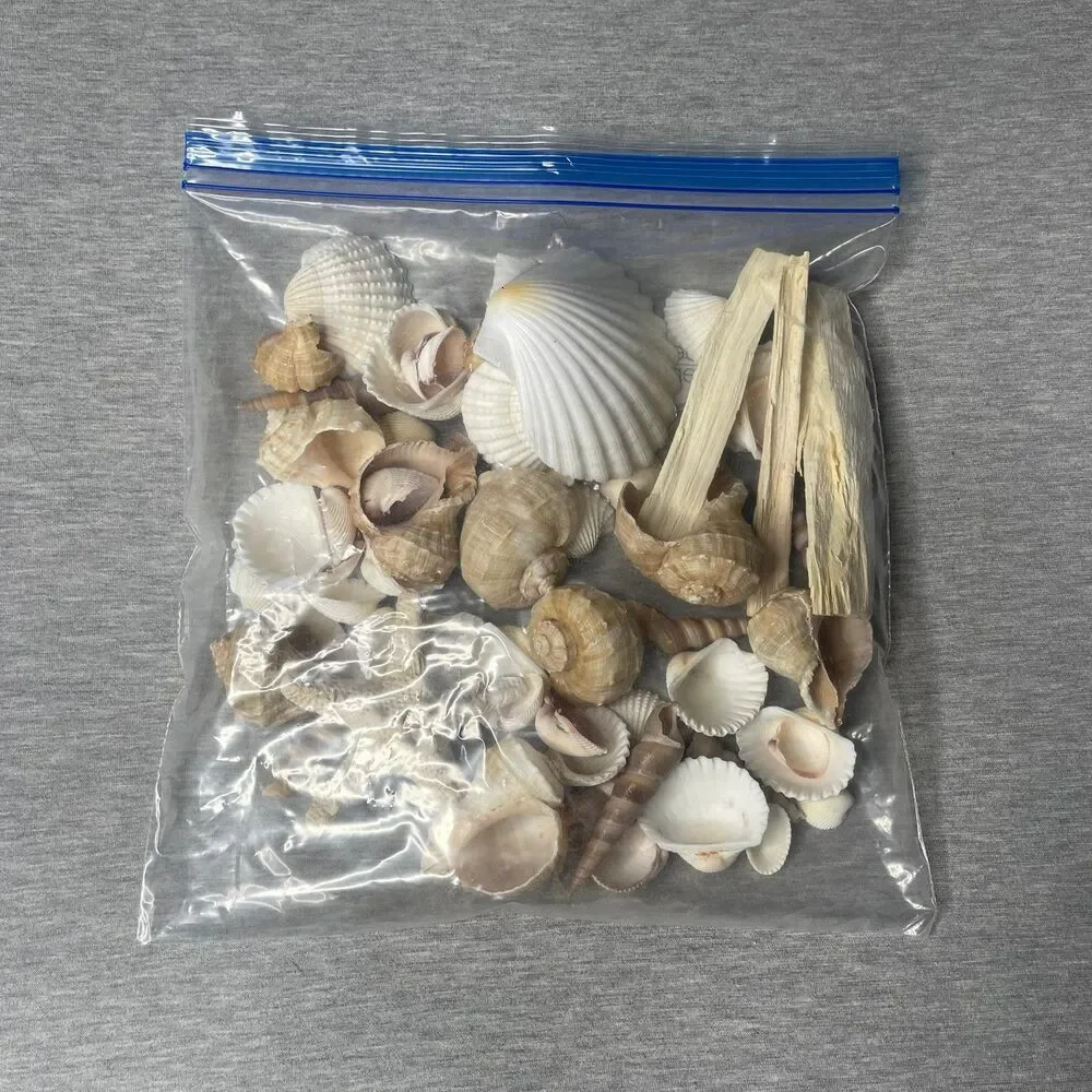 Threshold | Accents | Target Threshold Beach Sea Shells Vase Filler ...